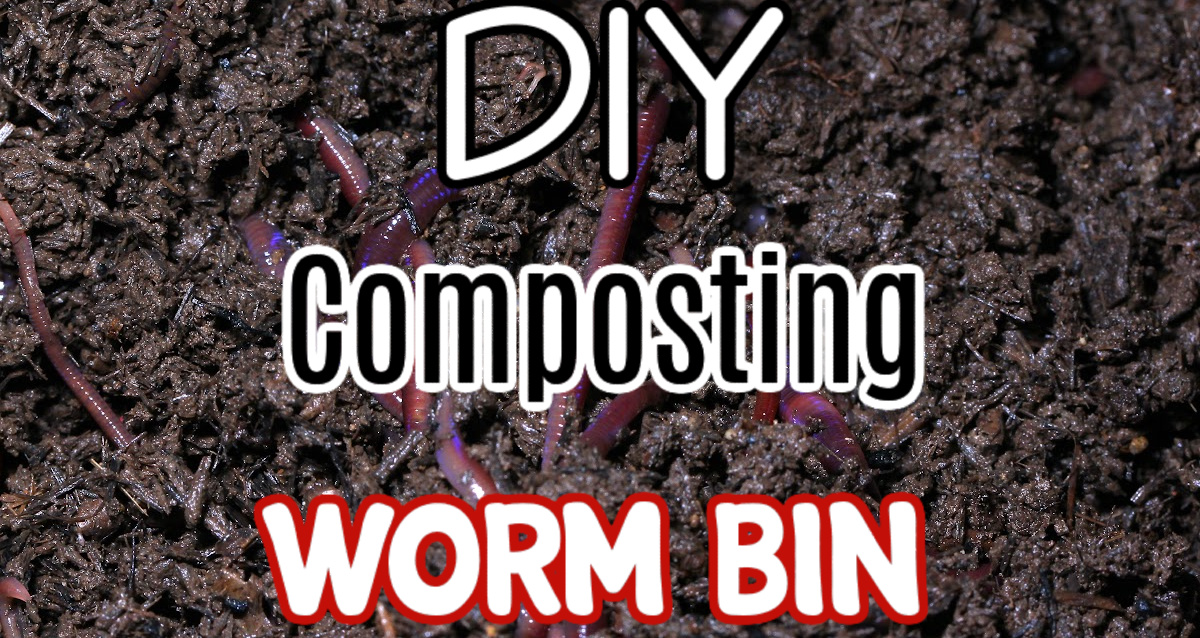 DIY Vermicomposting With A Worm Bin