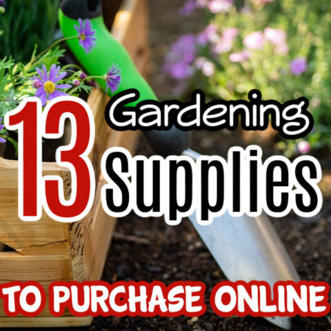 10 Gardening Supplies To Purchase Online Check Them Out