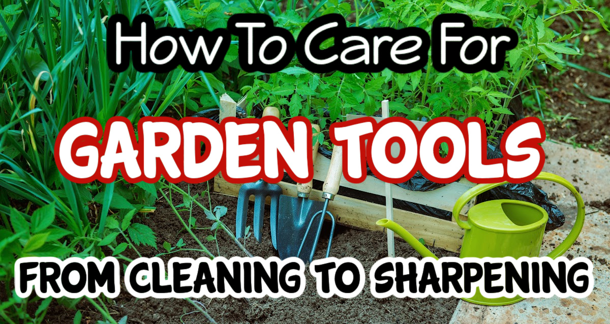 How To Care For Gardening Tools From Cleaning To Sharpening