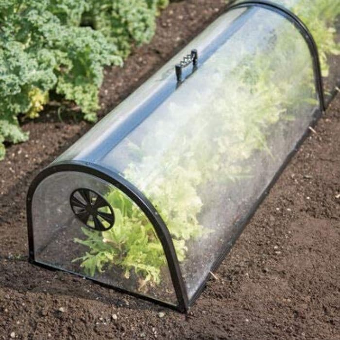Protecting Your Garden In The Winter