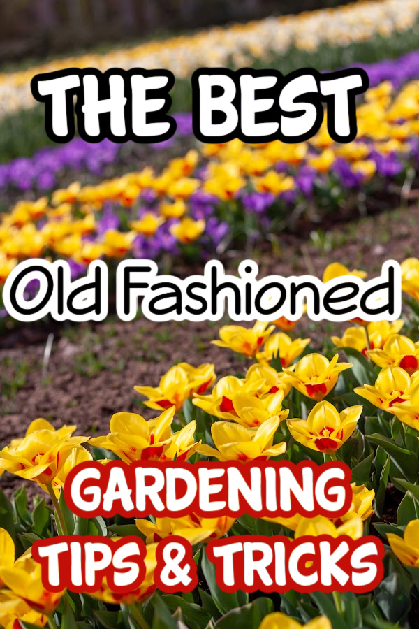 Old Fashioned Gardening Tips & Tricks