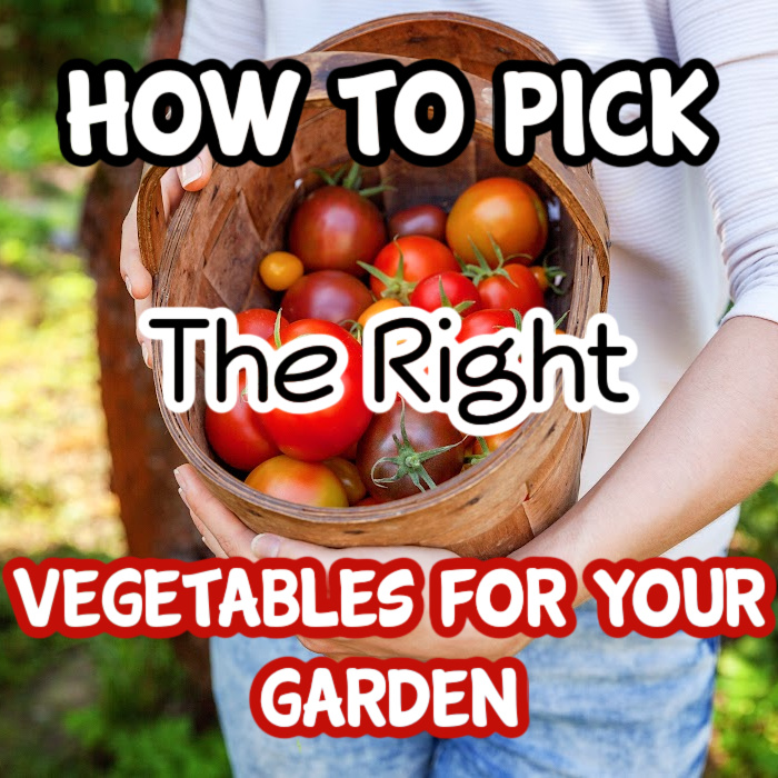 How To Pick The Right Vegetables For Your Garden