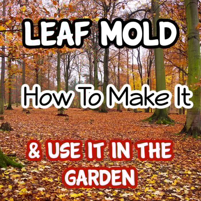 Leaf Mold How To Make & Use It In The Garden