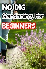 No Dig Gardening For Beginners