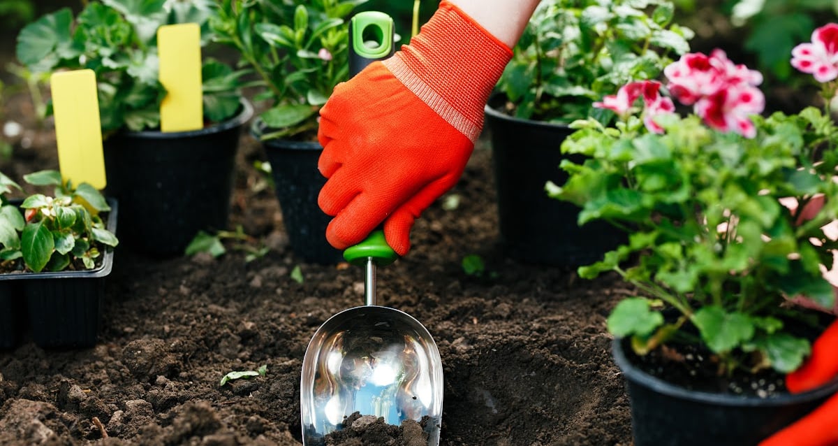 Gardening Tips & Tricks – Backyard Vegetable Gardener