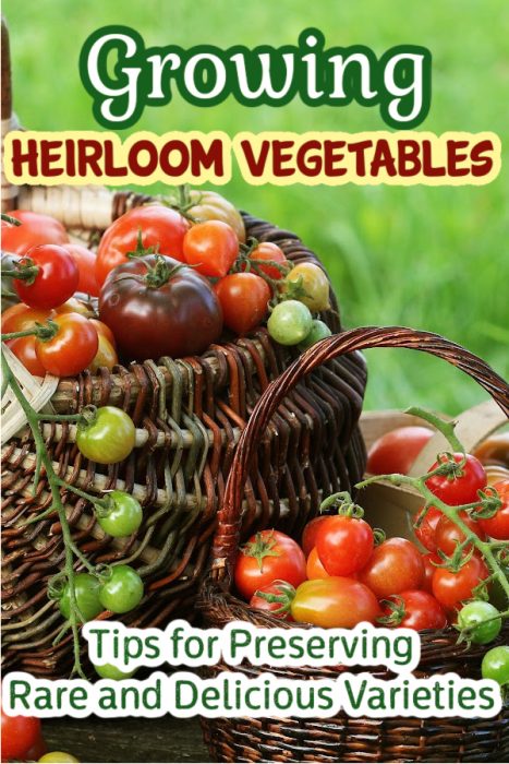 Growing Heirloom Vegetables: Tips for Preserving Rare and Delicious ...