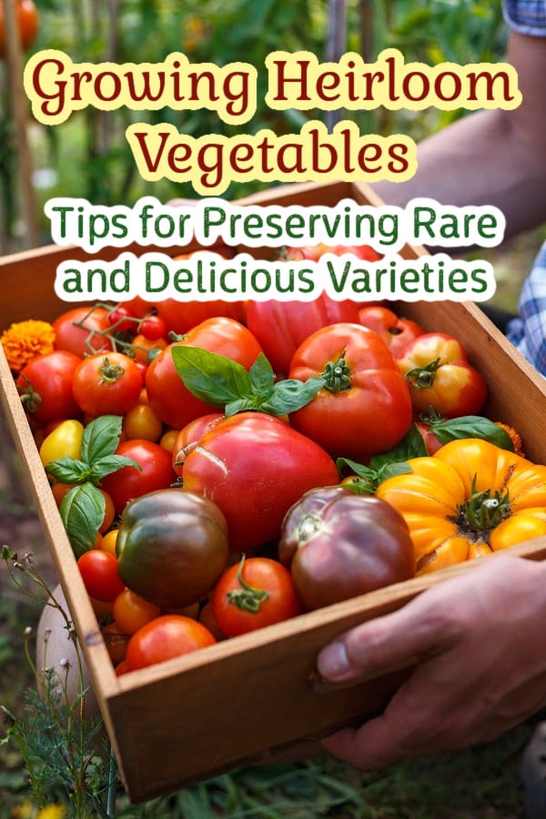 Growing Heirloom Vegetables: Tips for Preserving Rare and Delicious ...