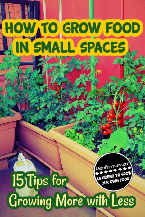 15 Tips For Growing More In Less Space