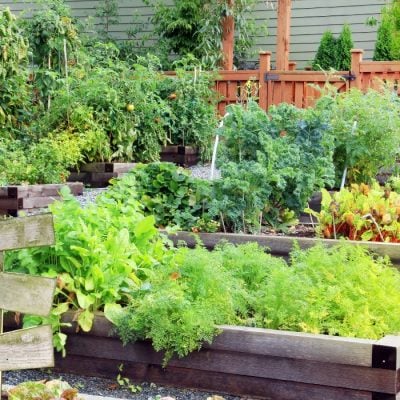 15 Tips For Growing More In Less Space