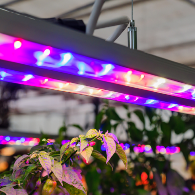 15 Tips For Growing More In Less Space