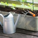 15 Tips For Growing More In Less Space