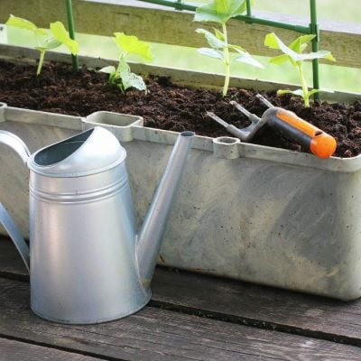 15 Tips For Growing More In Less Space