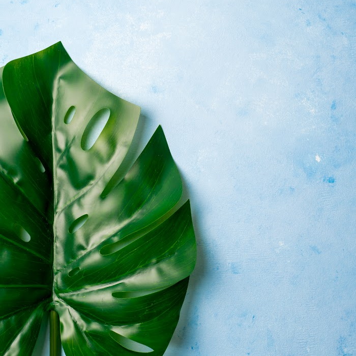 Understanding Magnesium Deficiency In Plants