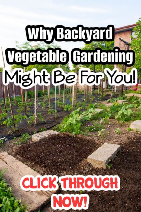 How to Harvest and Store Your Vegetables for Maximum Freshness