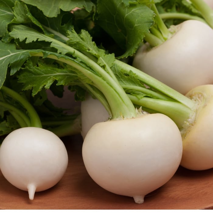 Cultivate Your Green Thumb: Unleash the Magic of Turnips!