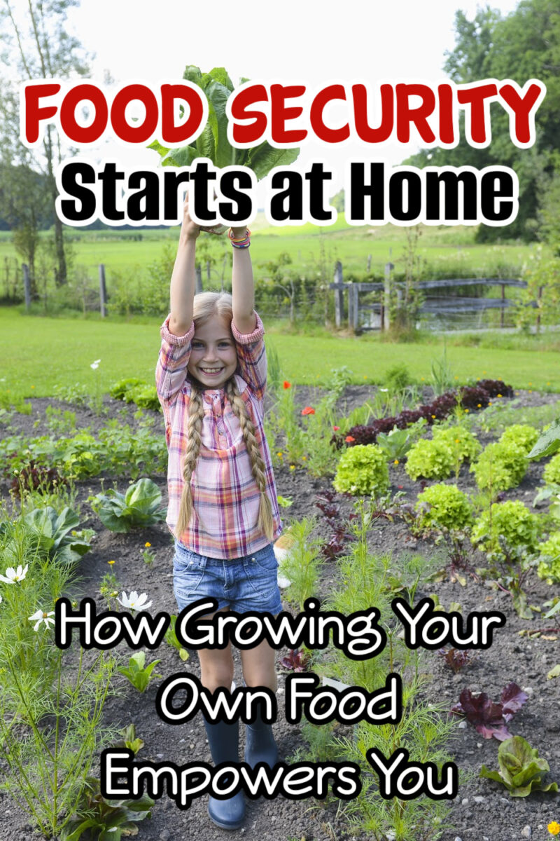 How To Grow Food Year Round From Your Own Family Food Garden