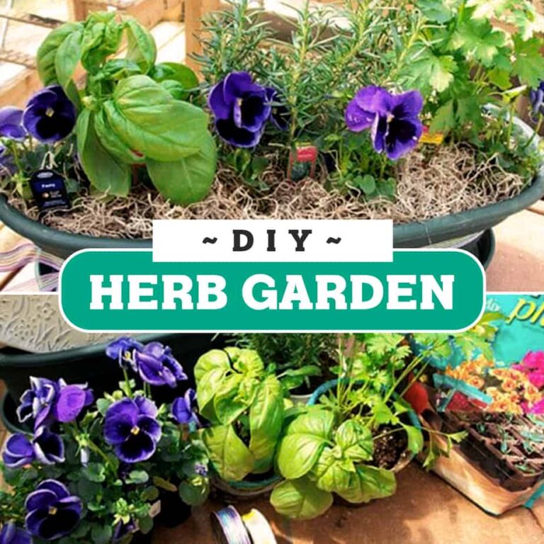 DIY For The Garden From Practical To Whimsy