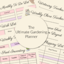Your Ultimate Vegetable Garden Plan: Grow with Success