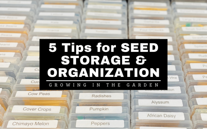 Genius Garden Seed Storage Solutions