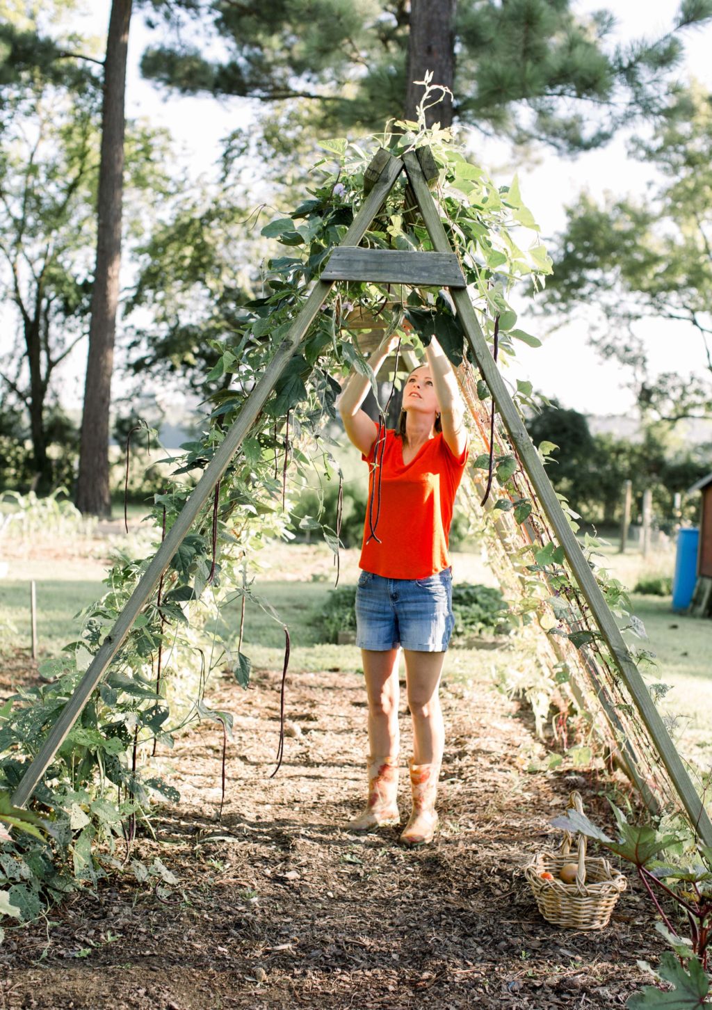 25 DIY Garden Trellises You Can Make TODAY!