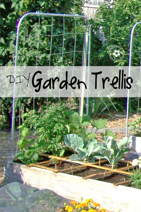 25 DIY Garden Trellises You Can Make TODAY!