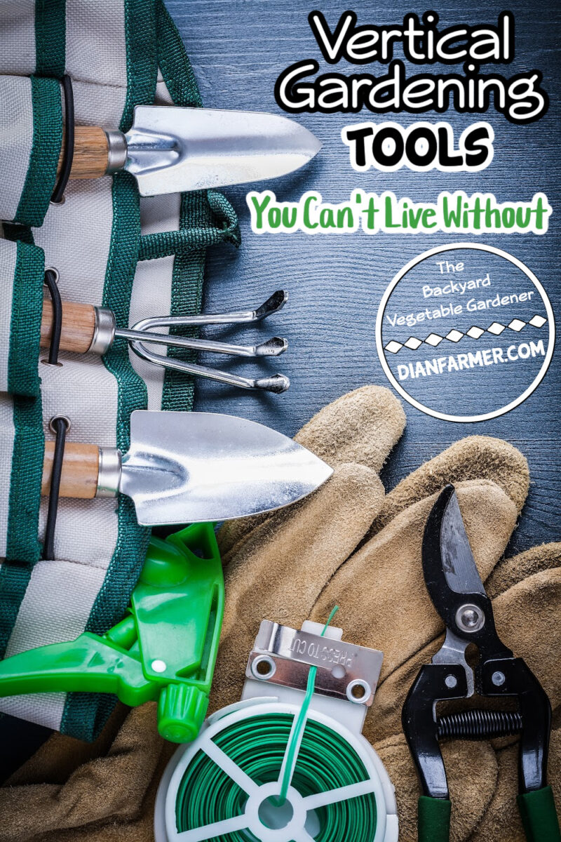 Vegetable Gardening For Beginners Let’s Get Started