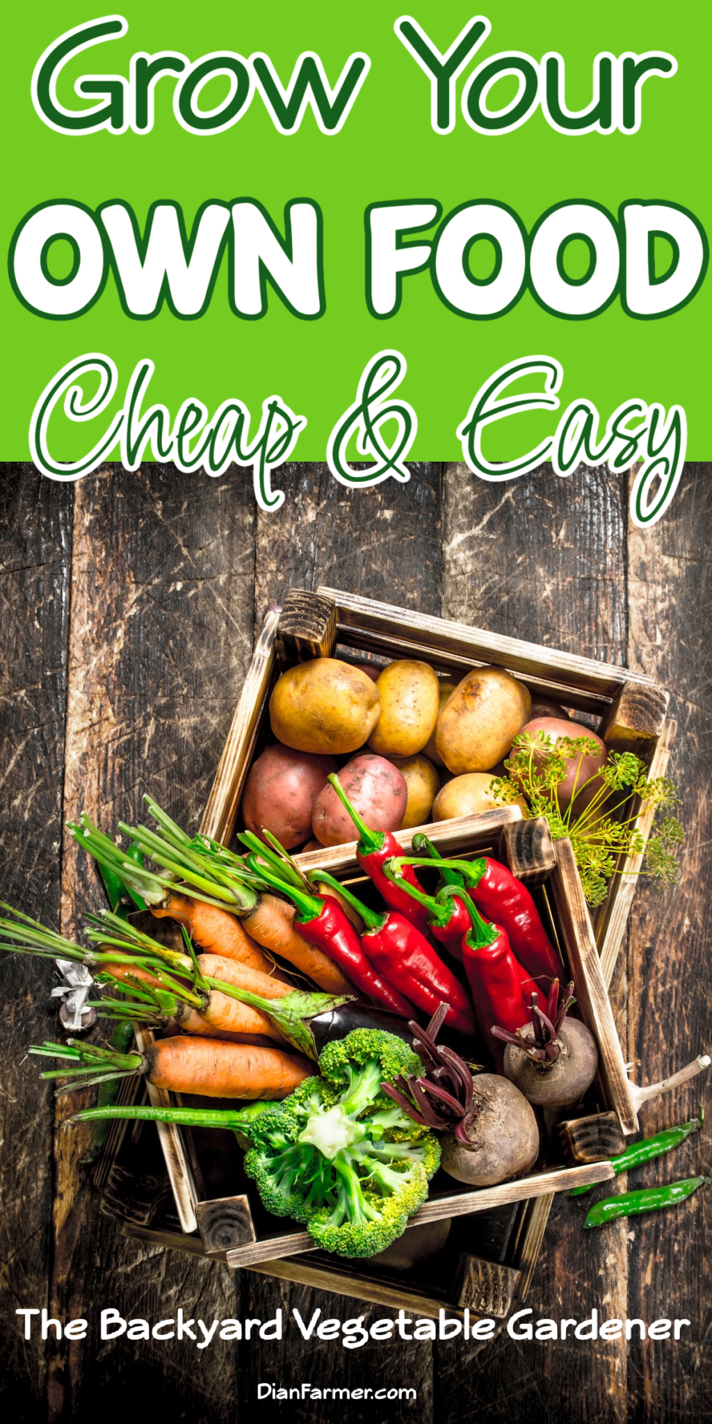 How To Grow Food Year Round From Your Own Family Food Garden
