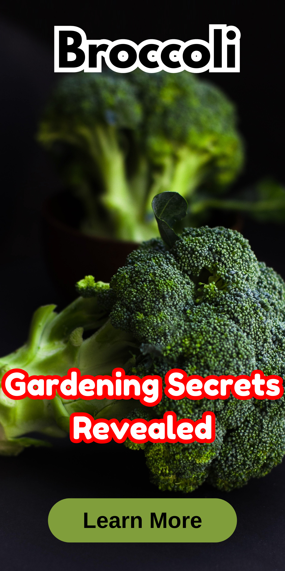 How to Grow Broccoli from Seed to Harvest: A Complete Guide