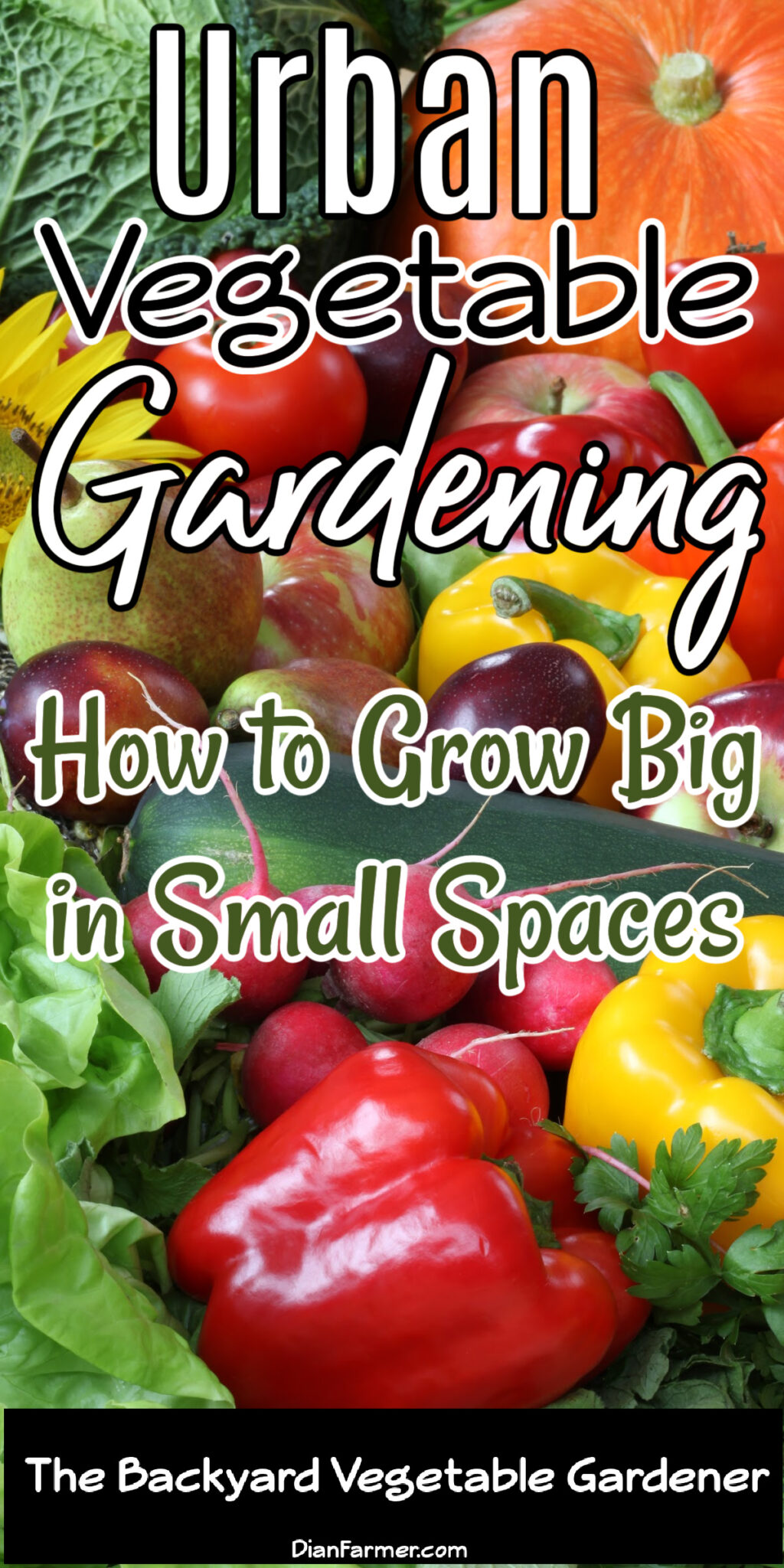 Urban Vegetable Gardening: How to Grow Big in Small Spaces