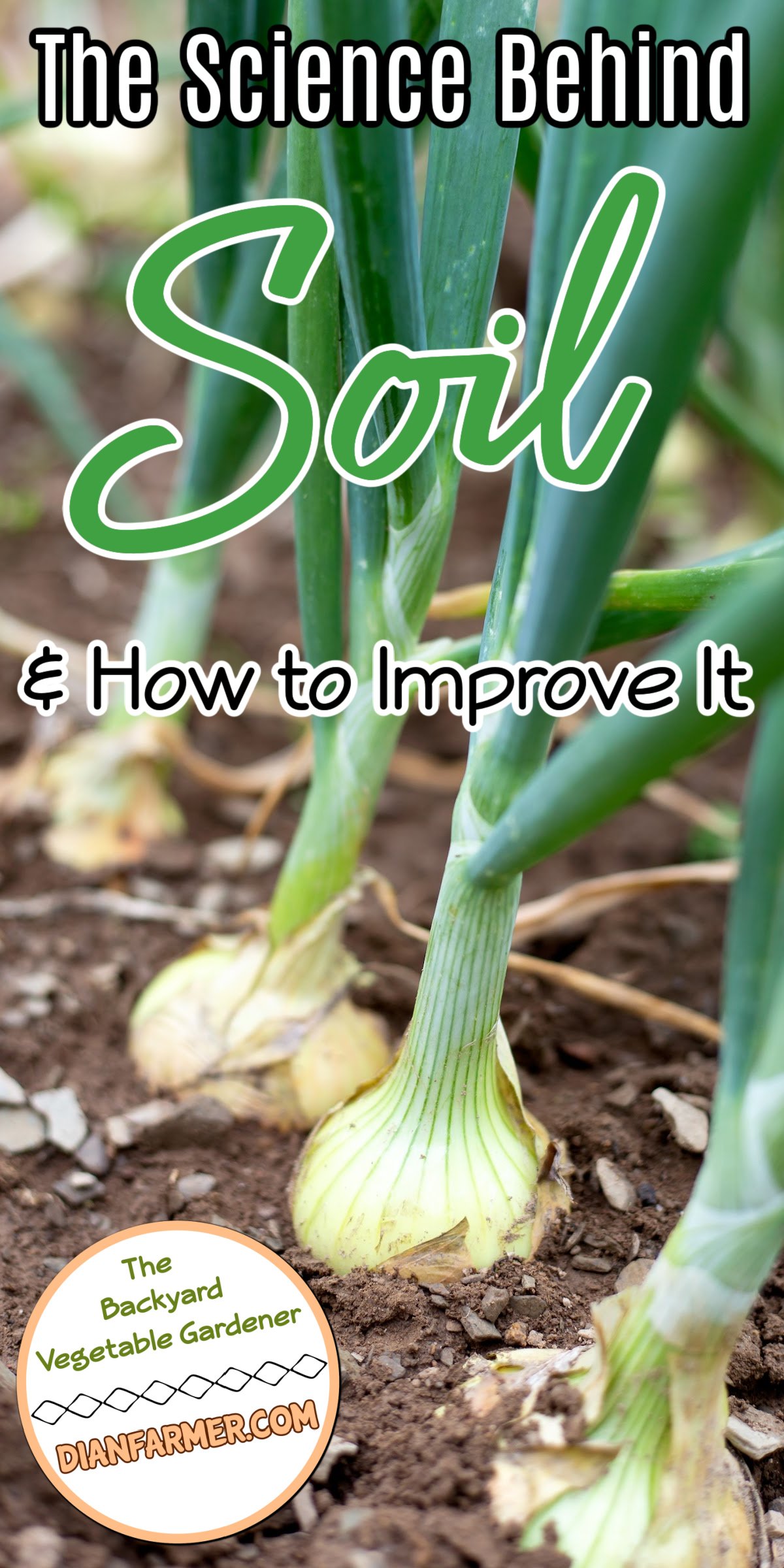 Why Soil Health Is the Key to Thriving Gardens: The Science Behind Soil ...