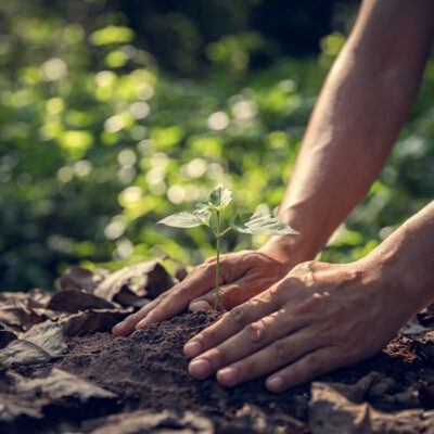 The DIY Soil Test Every Gardener Should Try Before Planting
