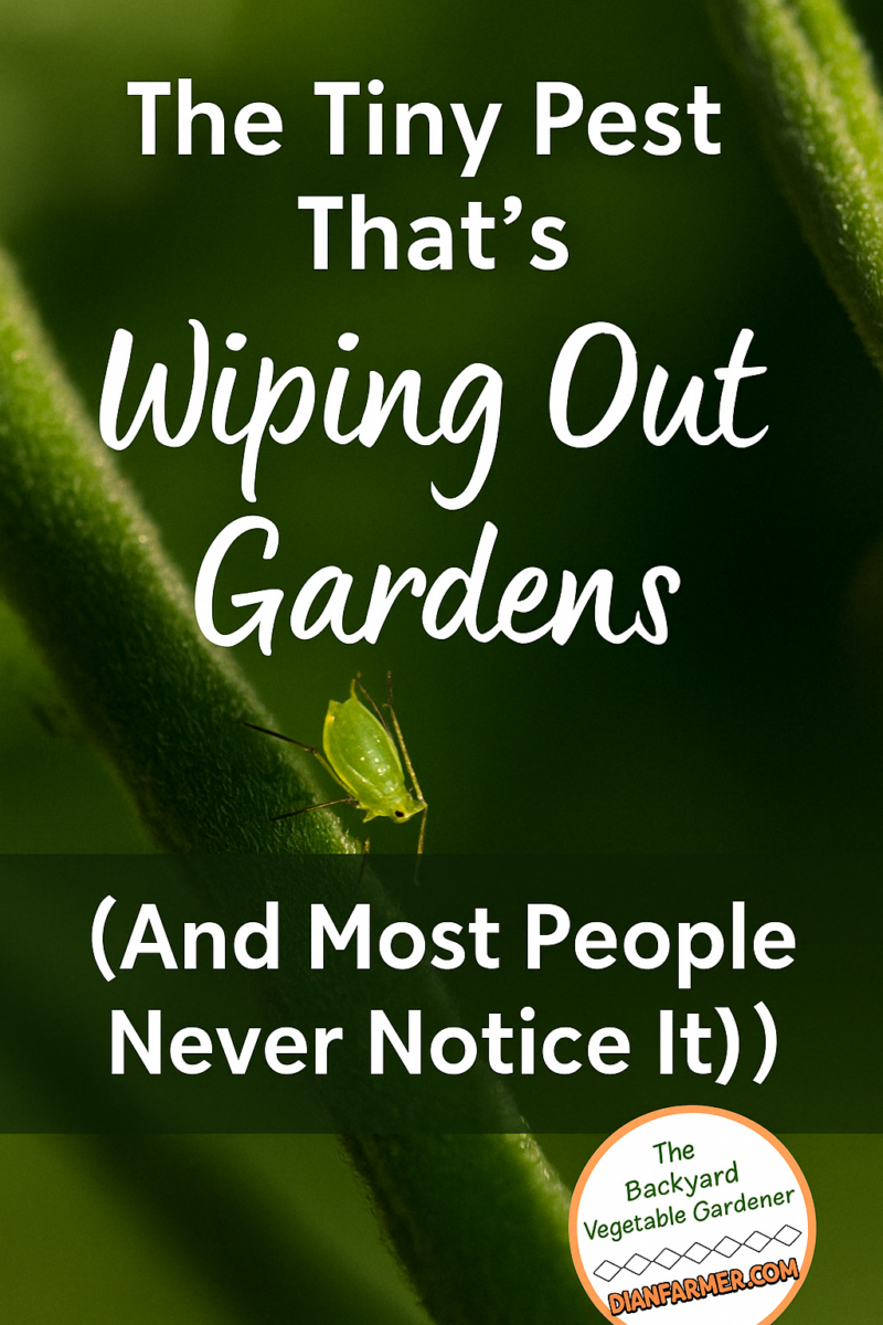 The Tiny Pest That’s Wiping Out Gardens (And Most People Never Notice It)