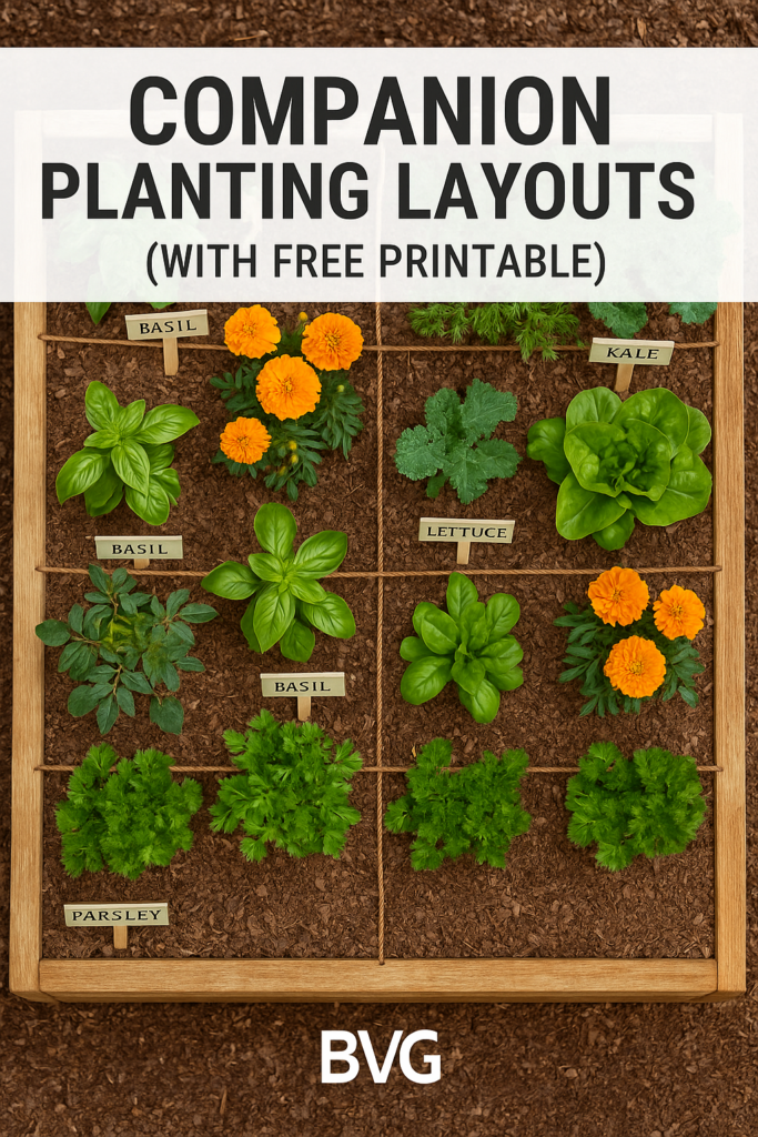 Companion Planting Layouts (with free printable)